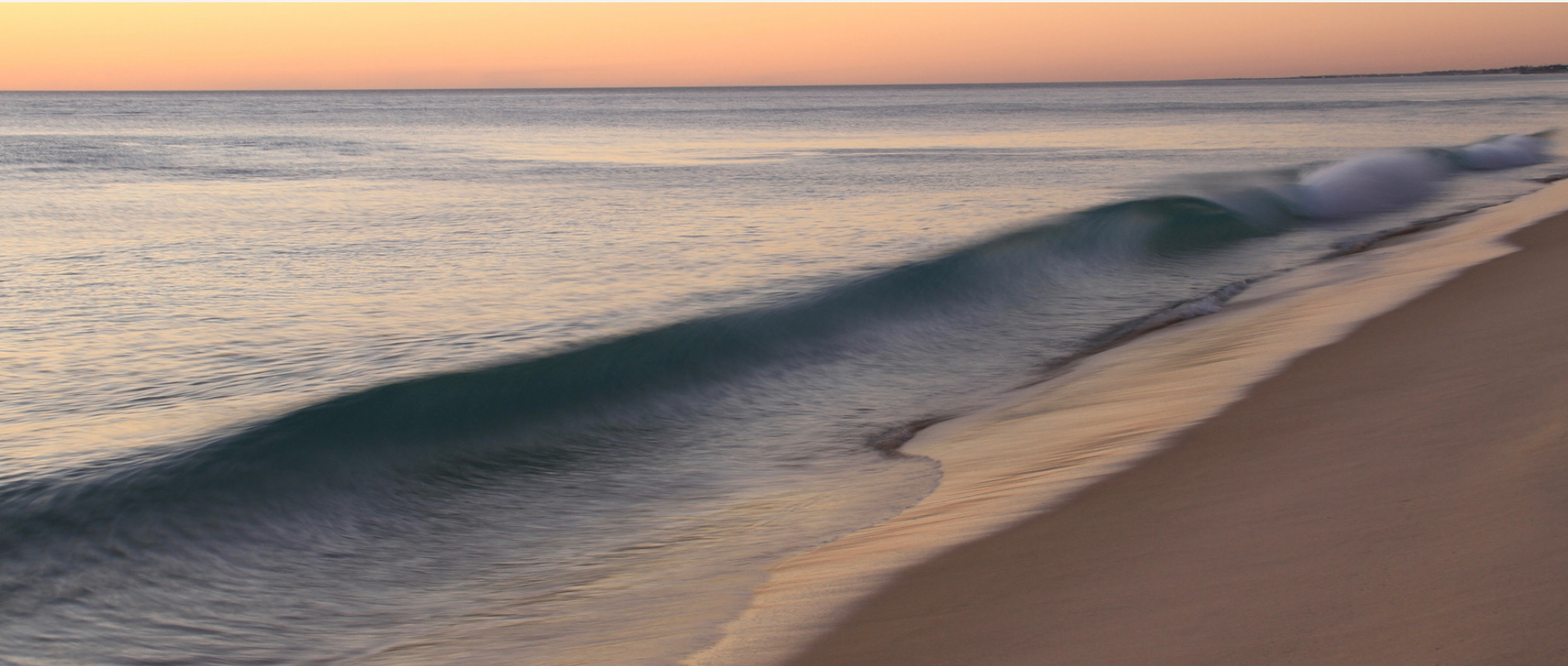 The Misfits | At Water’s Edge