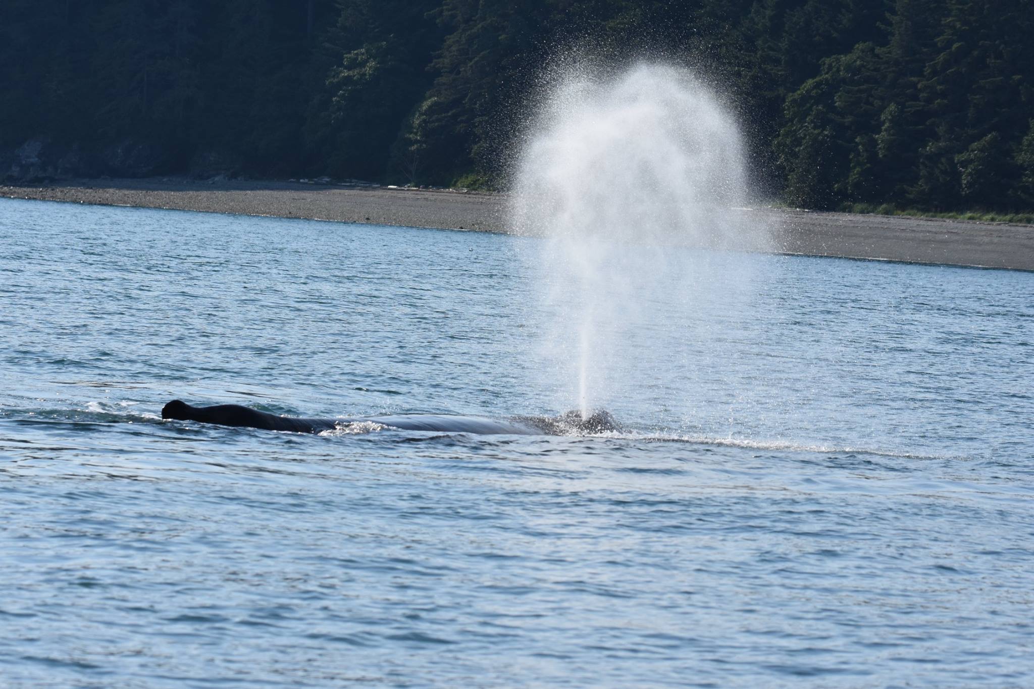 Slaying the Leviathan | At Water’s Edge