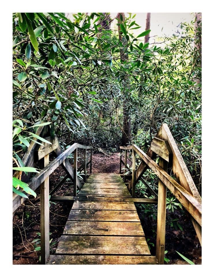 Follow the Directions | At Water’s Edge