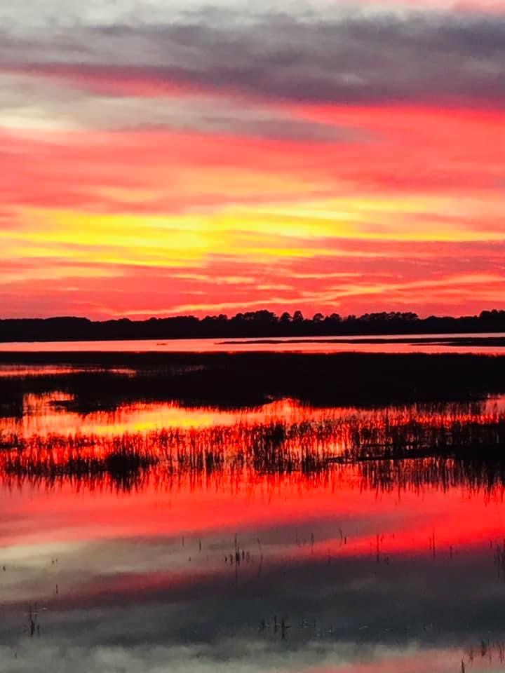Irritable and Cross | At Water’s Edge