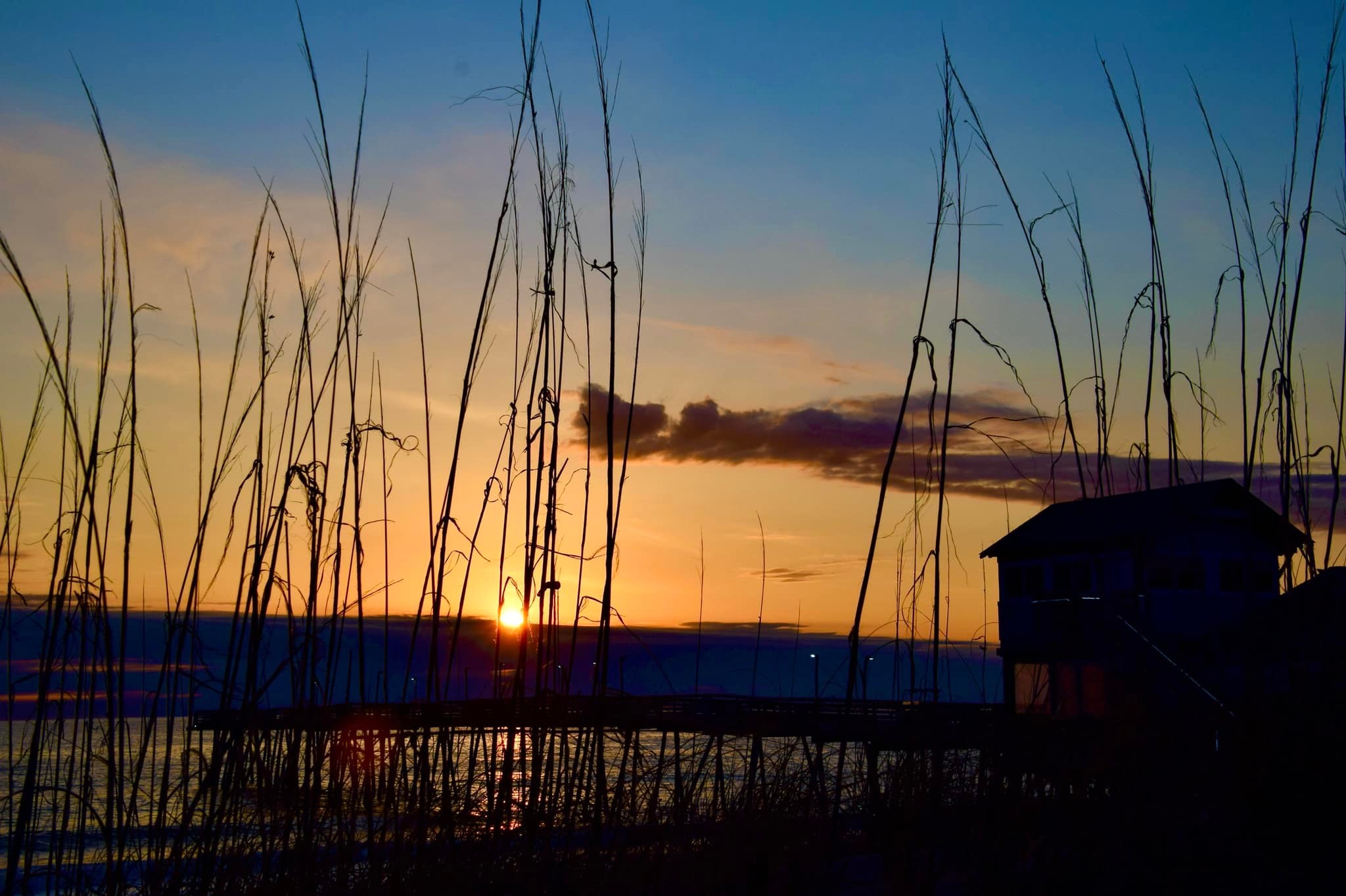 New Things Spring | At Water’s Edge