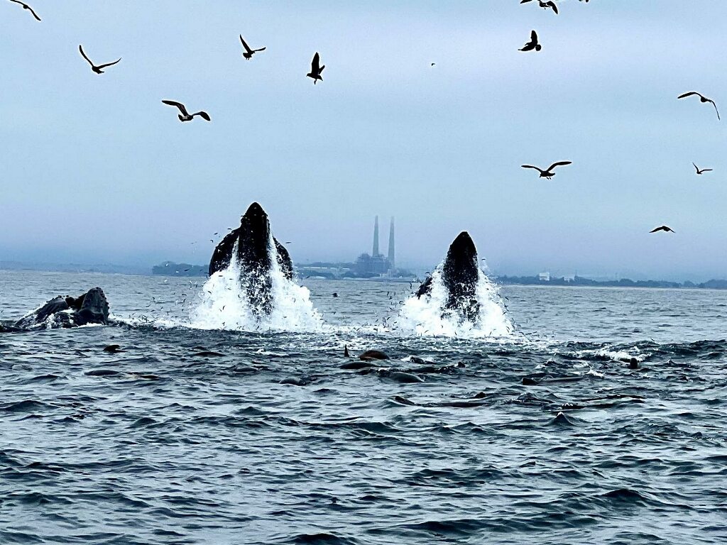 Leaps and Bounds | At Water’s Edge