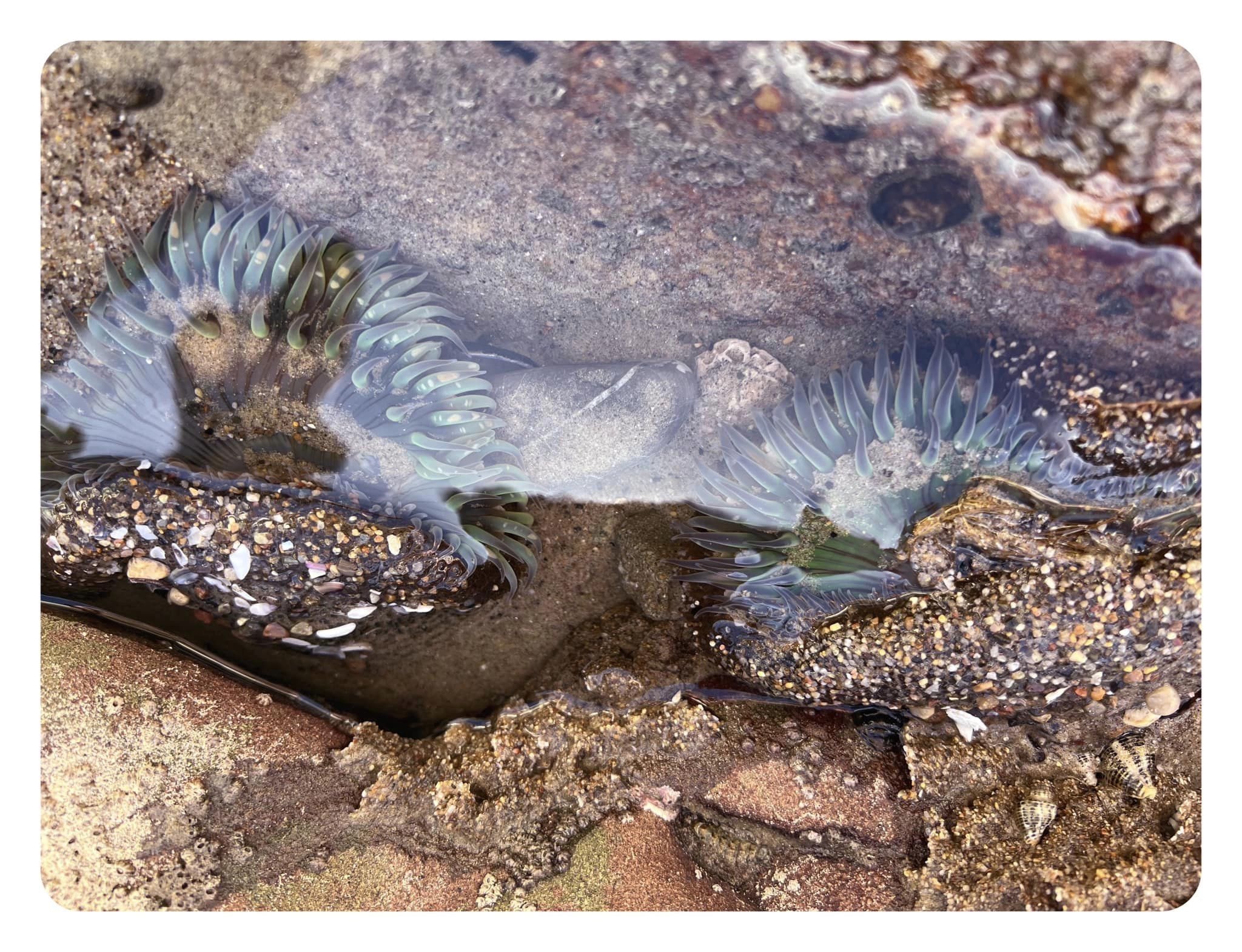 Survive or Thrive | At Water’s Edge