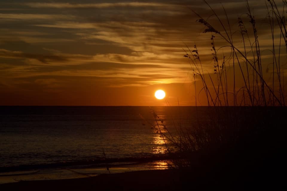 Arise | At Water’s Edge