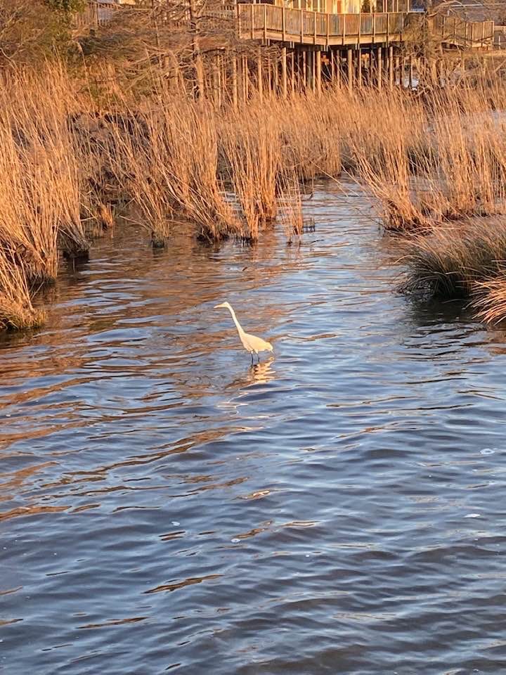 Do More, Talk Less | At Water’s Edge
