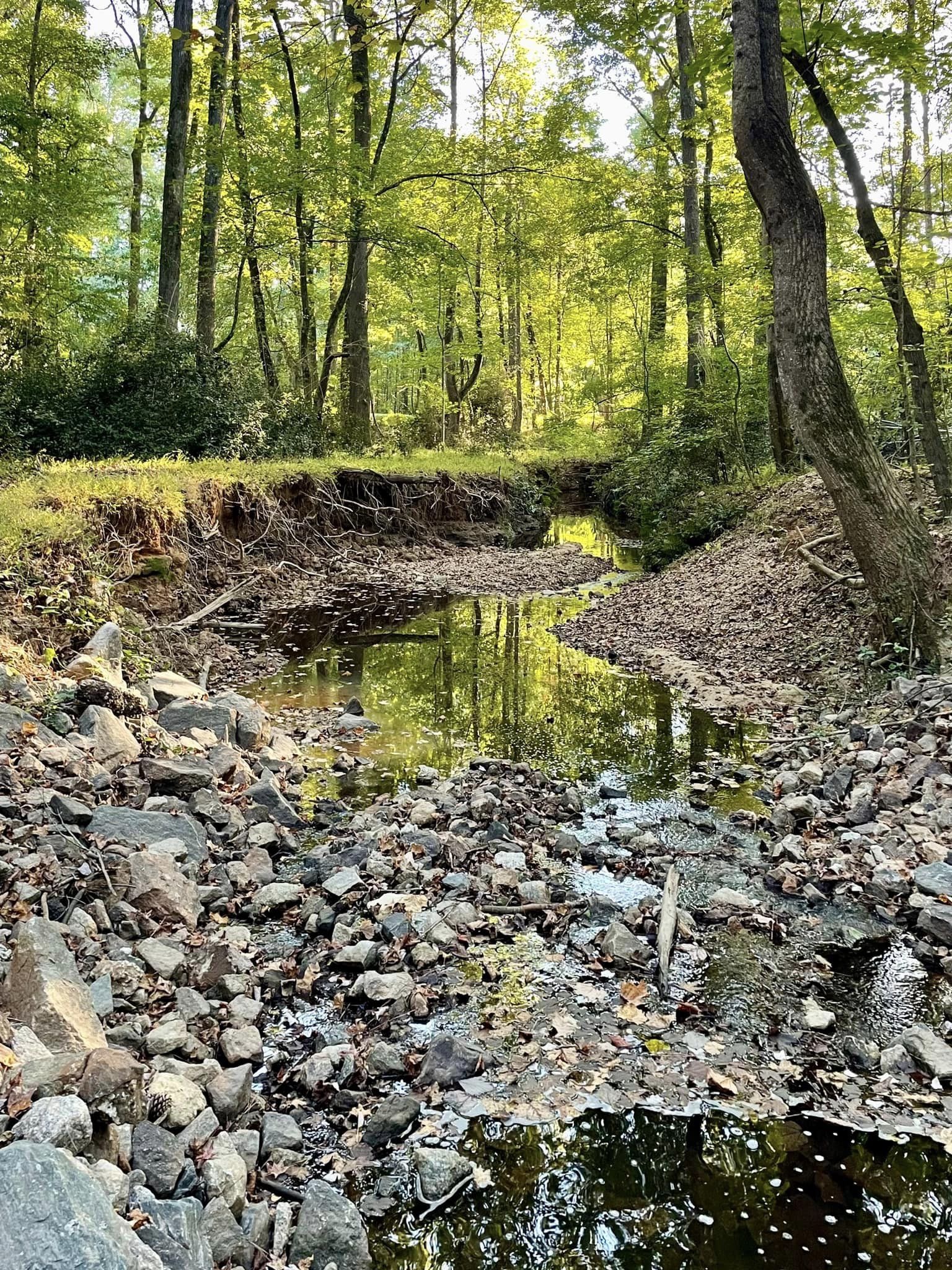 Anti-Toxin | At Water’s Edge