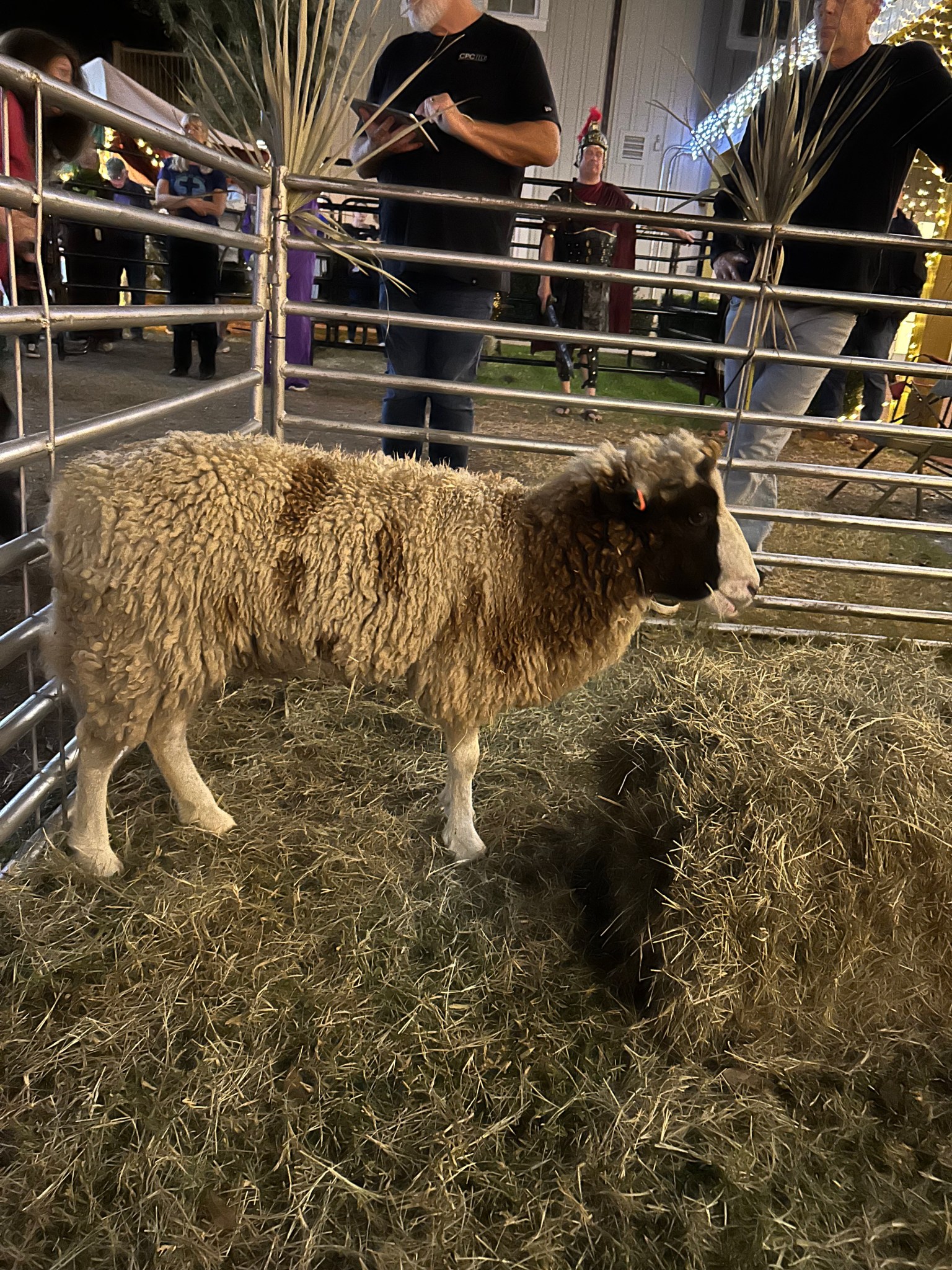 Resolve | At Water’s Edge